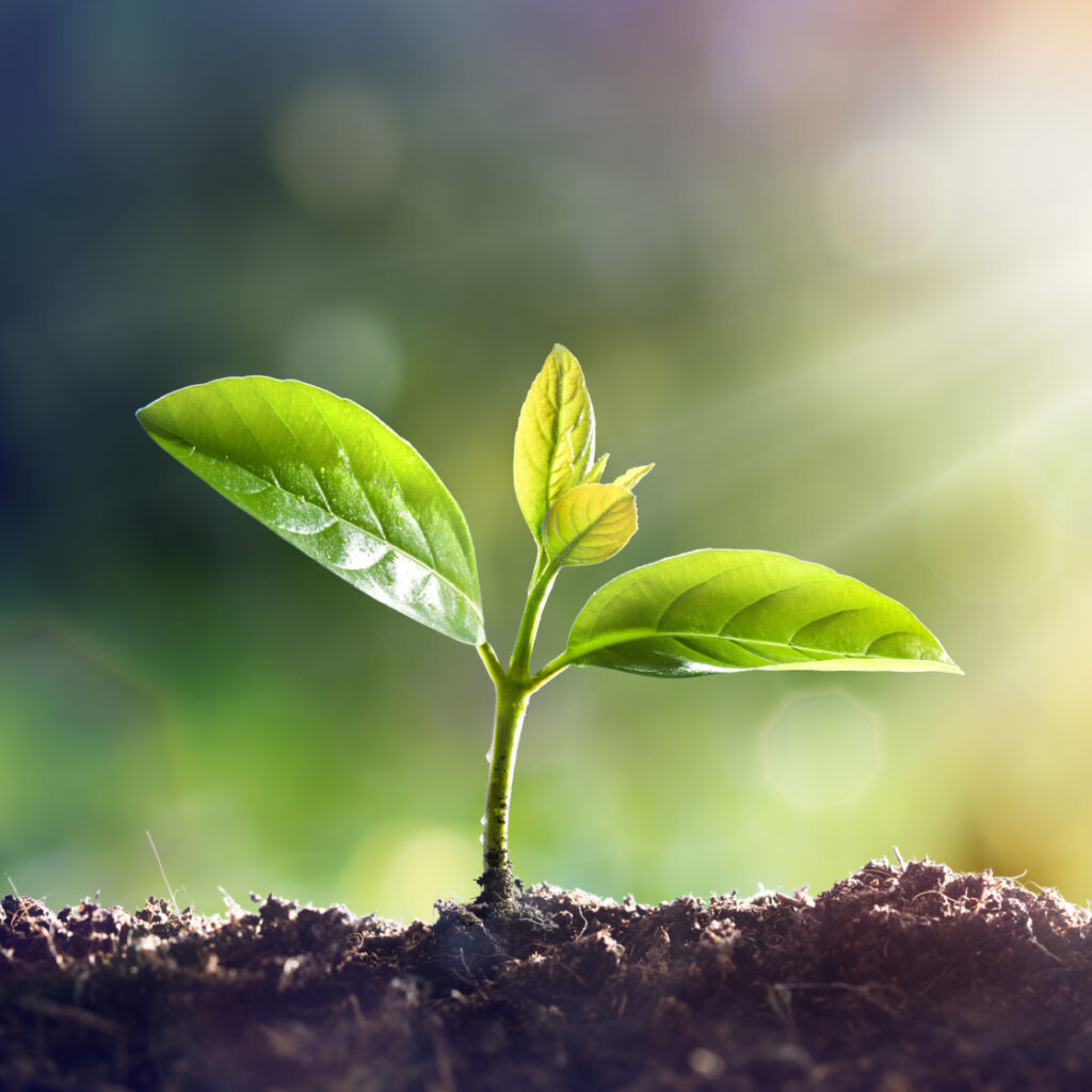 Investment Banking Services - Tobin & Company